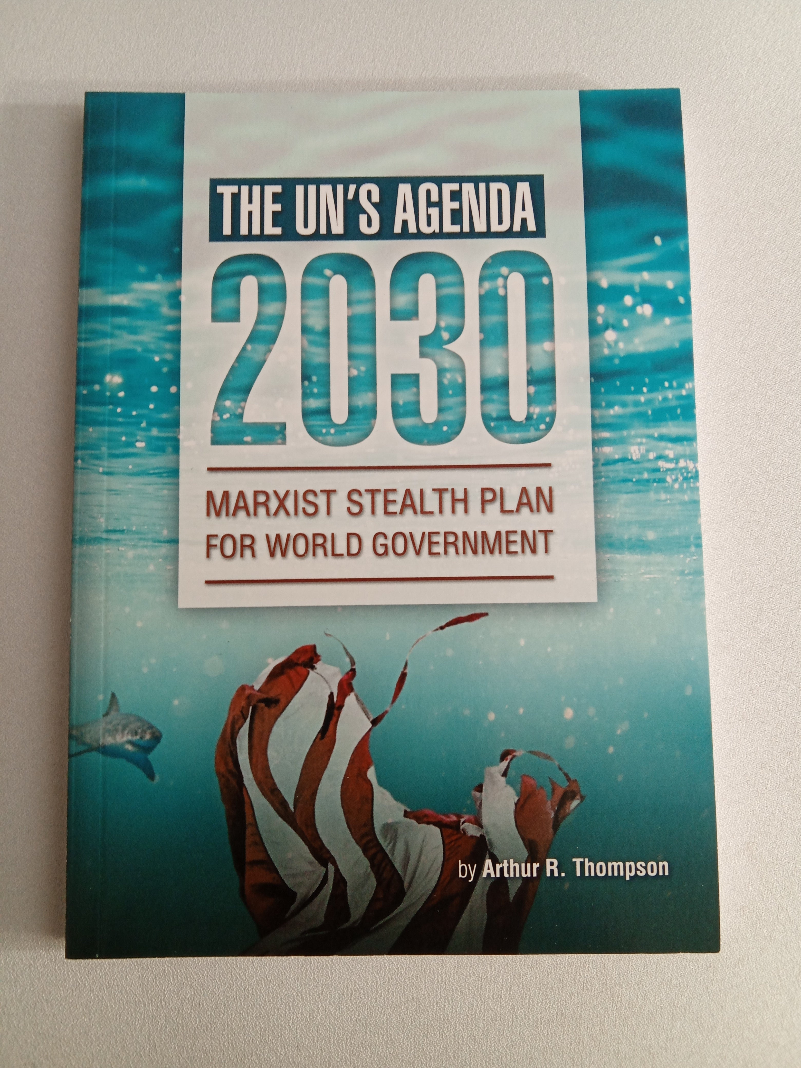 United Nation's Agenda 2030: Marxist Stealth Plan for World Government ...